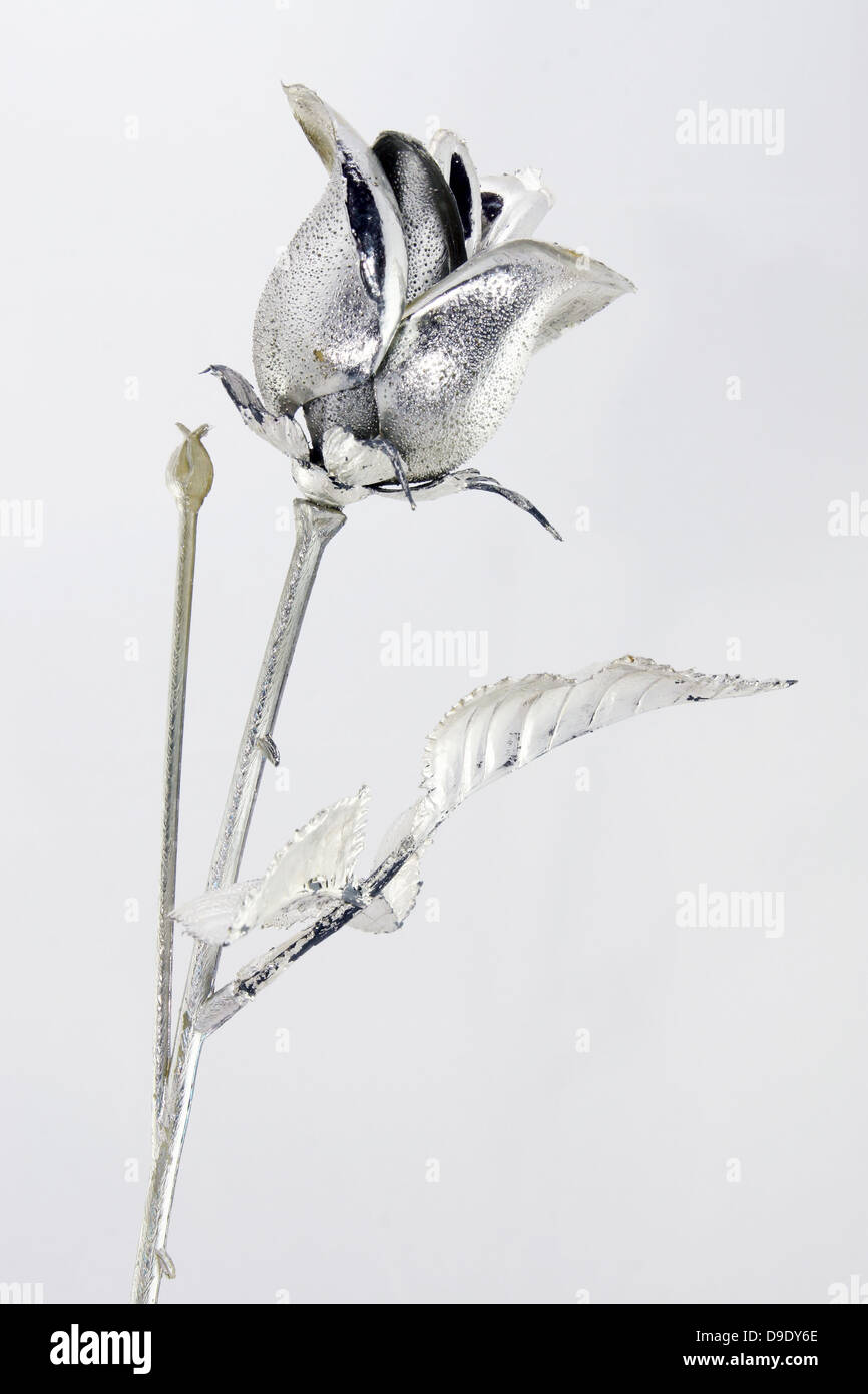 Silver and rose hi-res stock photography and images - Alamy