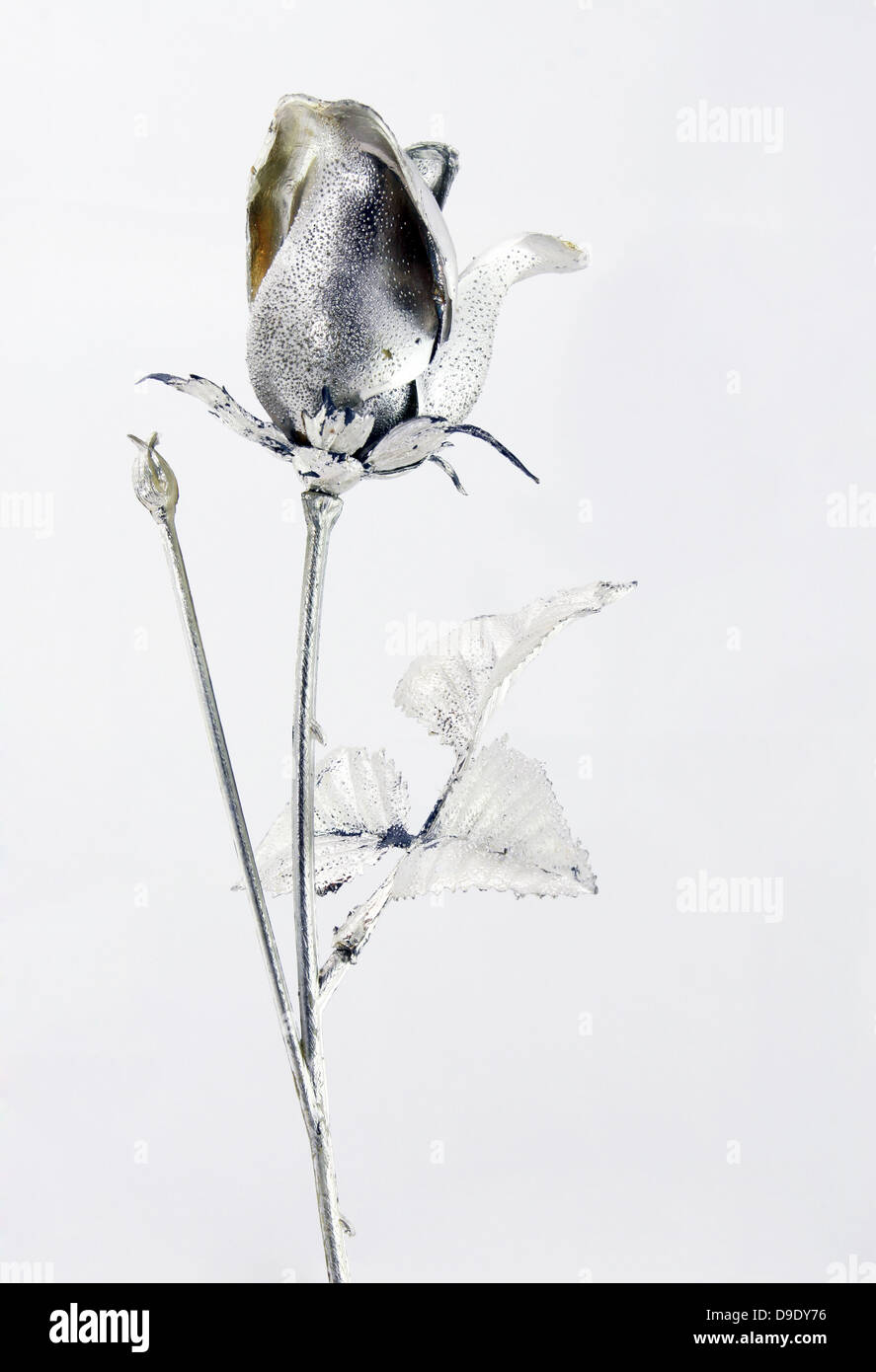 Silver rose hi-res stock photography and images - Alamy