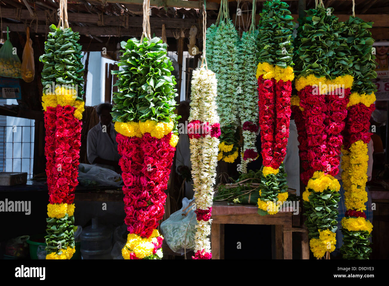 Flowers of tamil nadu hi-res stock photography and images - Alamy