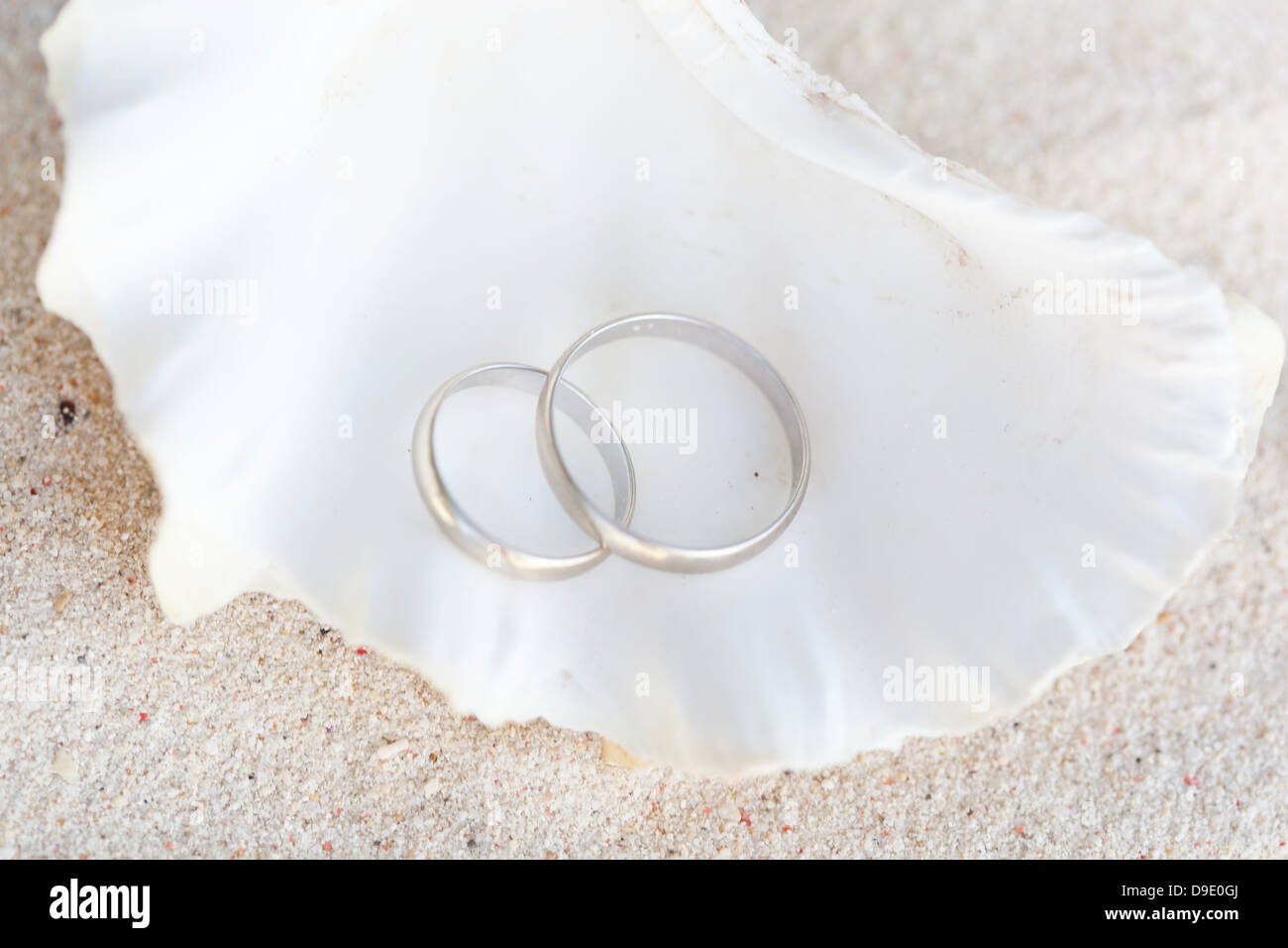 Celebration Valentine's day on beach, rings on shell Stock Photo - Alamy