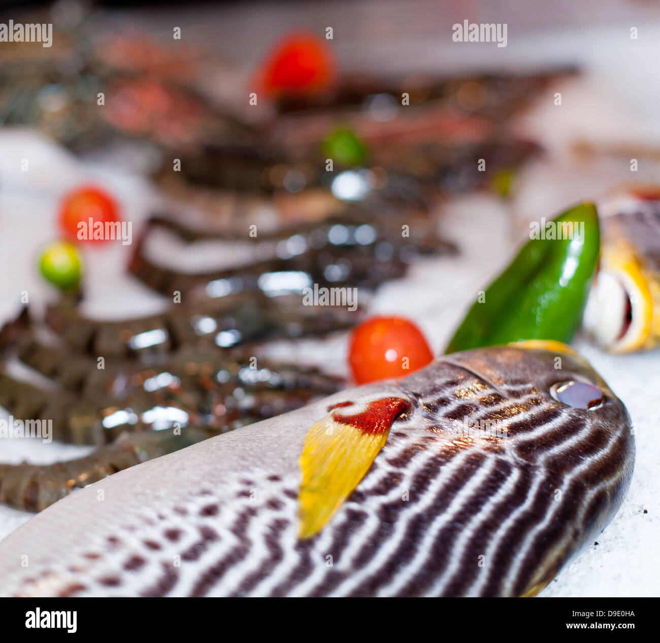Lapu lapu fish hi-res stock photography and images - Alamy