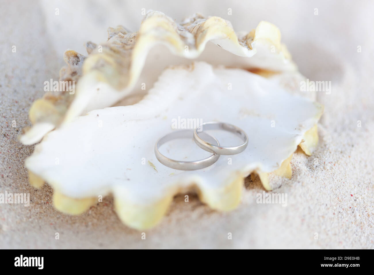 Celebration Valentine's day on beach, rings on shell Stock Photo - Alamy
