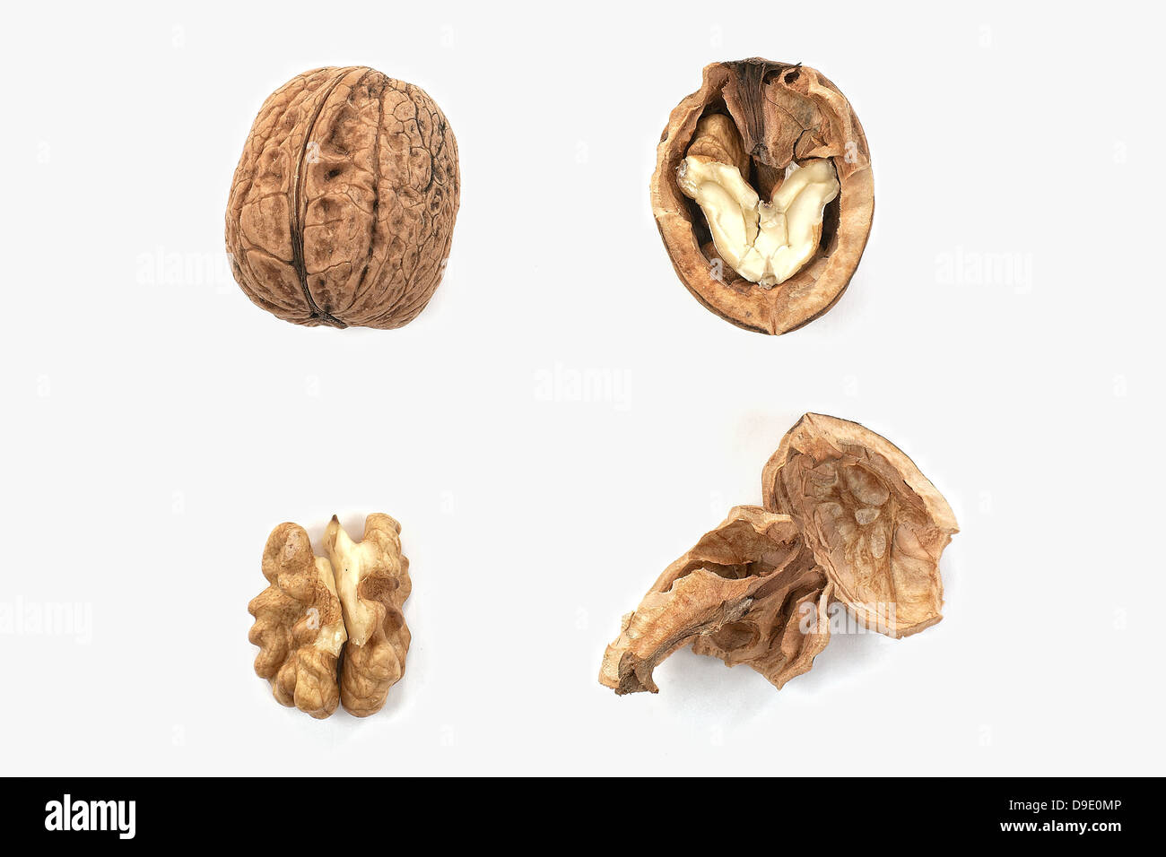 Walnut and crushed walnut on white background Stock Photo - Alamy