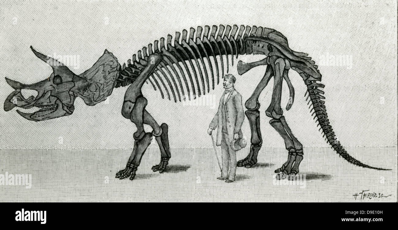 triceratops-prorsus-reconstruction-by-othnielcc-maarsh-1821-1899