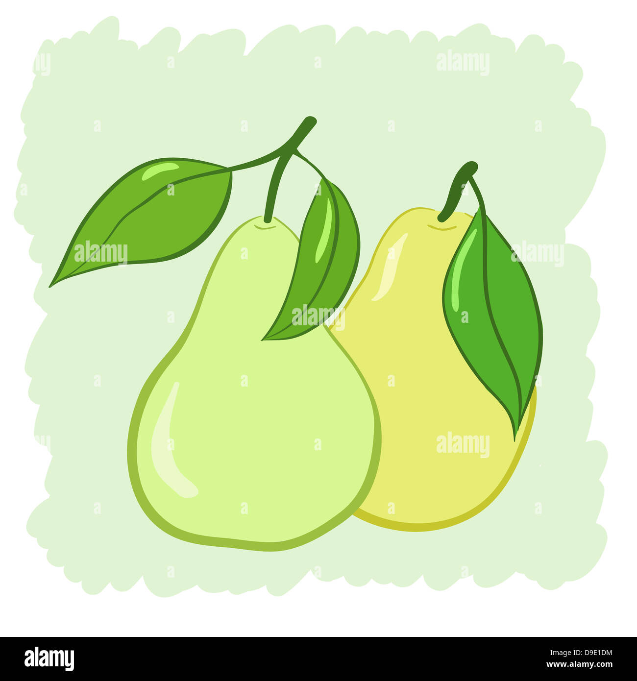 two pears with leaves, a vector illustration Stock Photo - Alamy