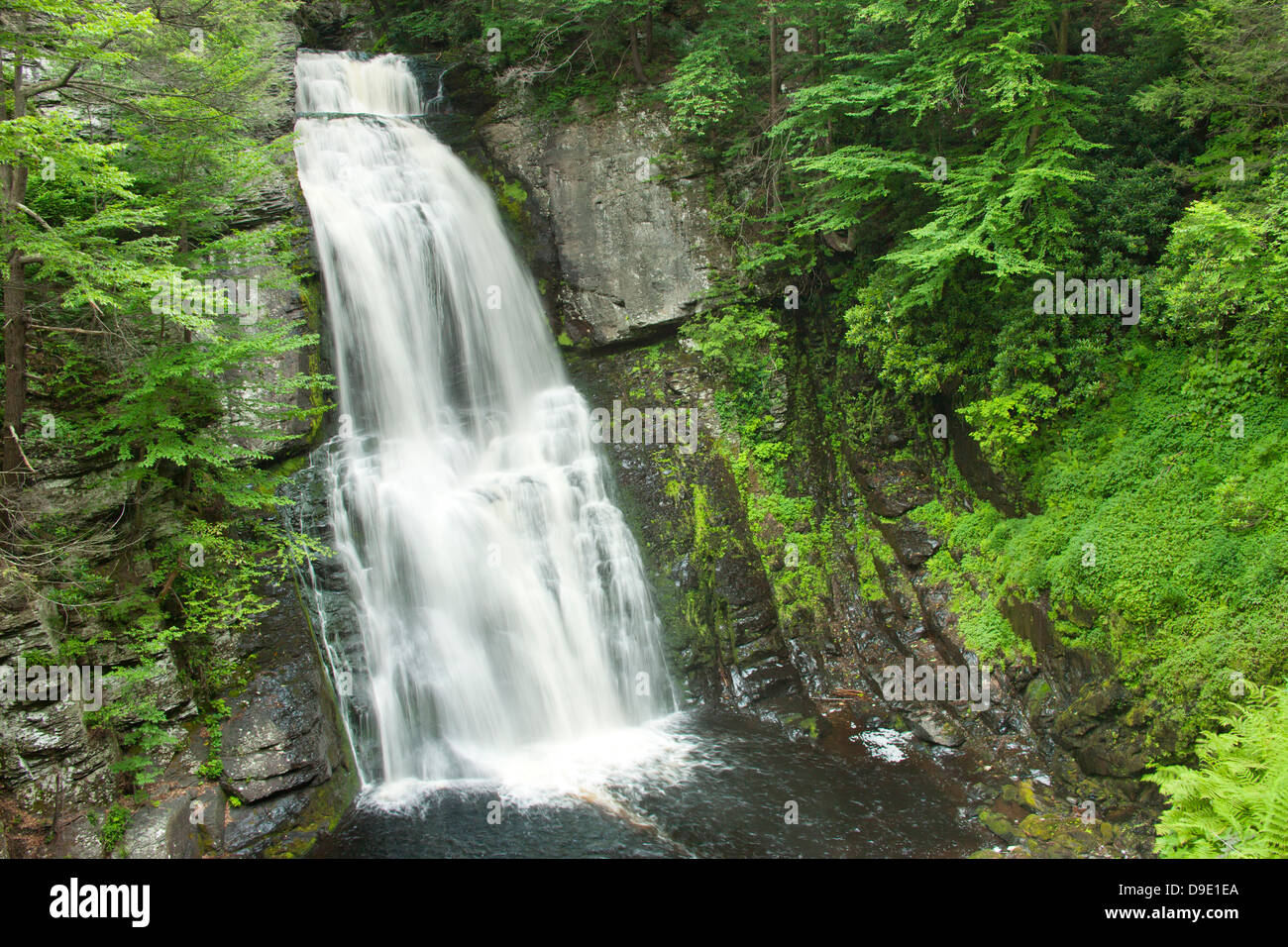 Bushkill waterfalls hi-res stock photography and images - Alamy