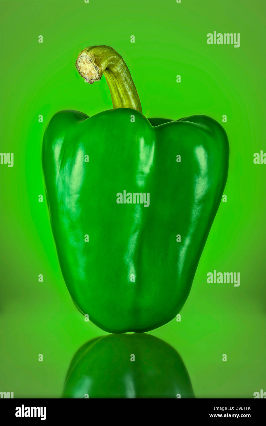 Green Pepper Photographed on a Green Background Stock Photo - Alamy