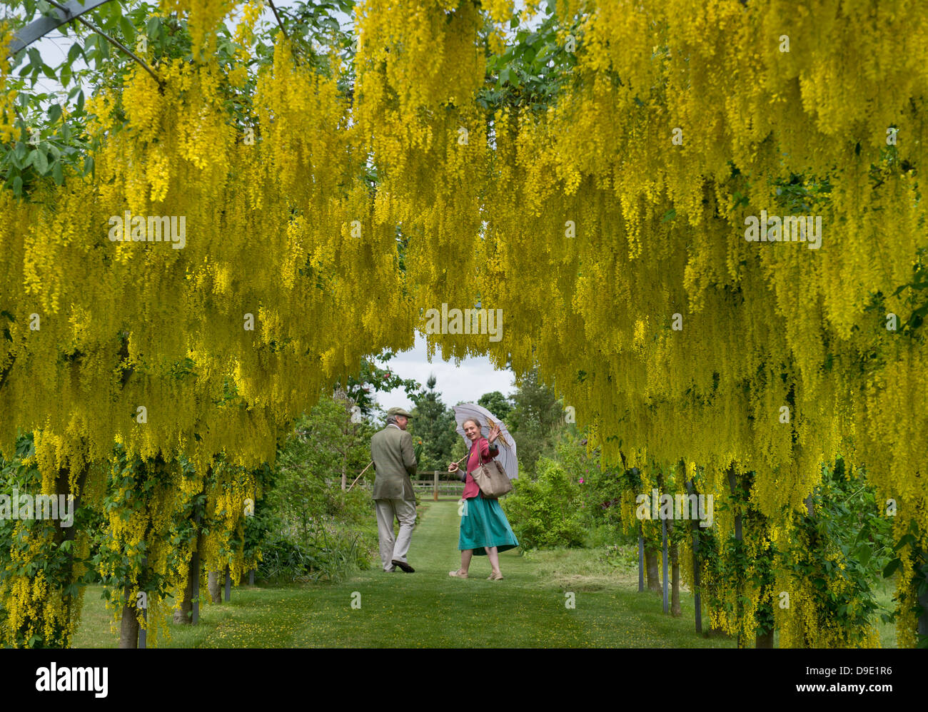 Laburnum arch hi-res stock photography and images - Alamy