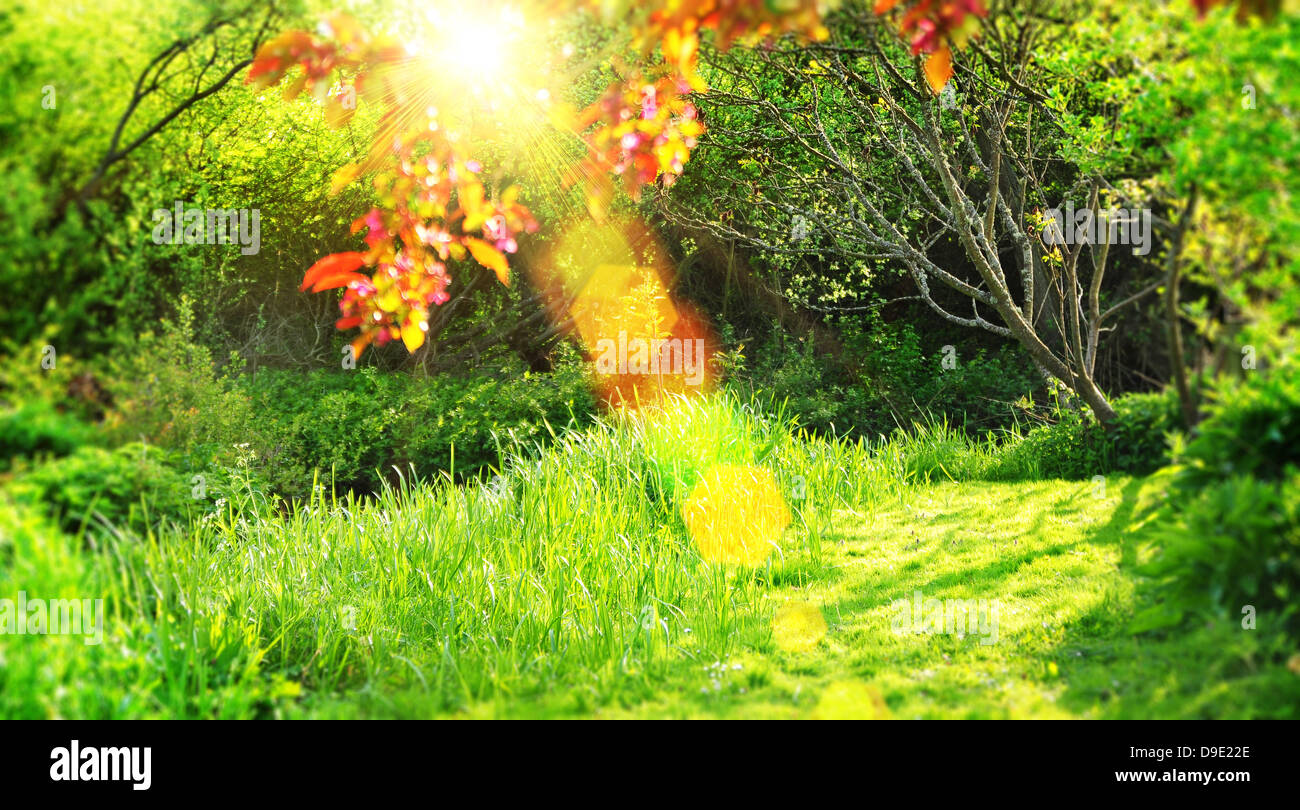 Green Sunbeam High Resolution Stock Photography and Images - Alamy