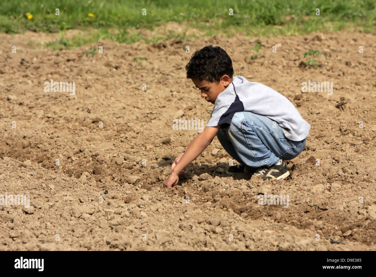 Kids planting seeds hi-res stock photography and images - Alamy
