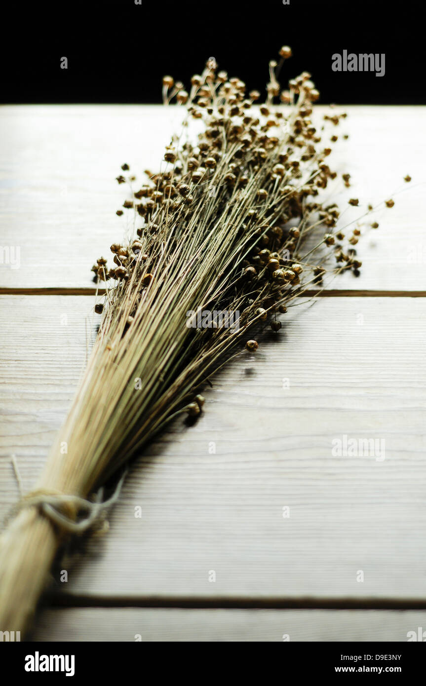 A bunch of dried flax Stock Photo - Alamy