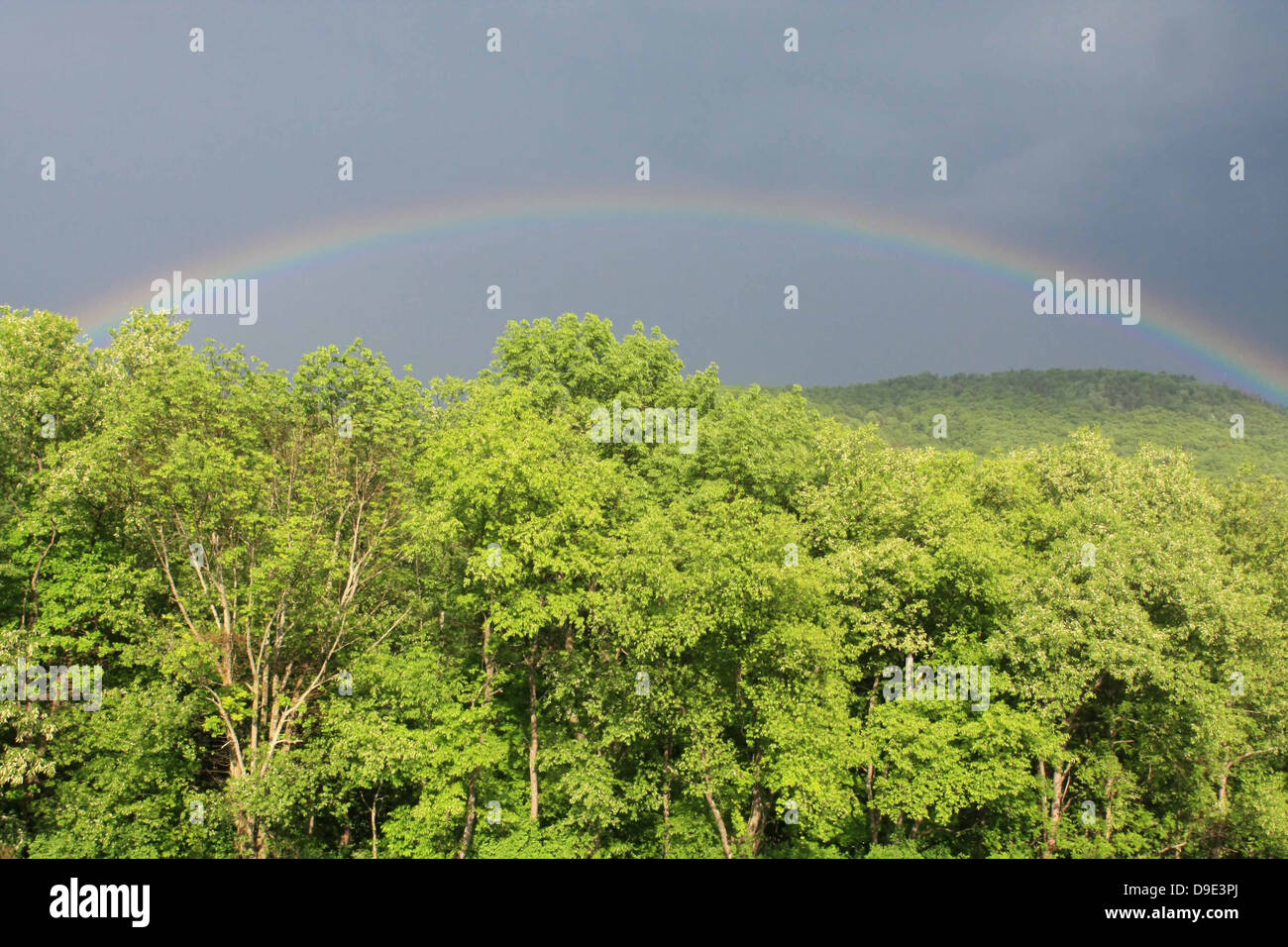 Rainbow with trees hi-res stock photography and images - Alamy