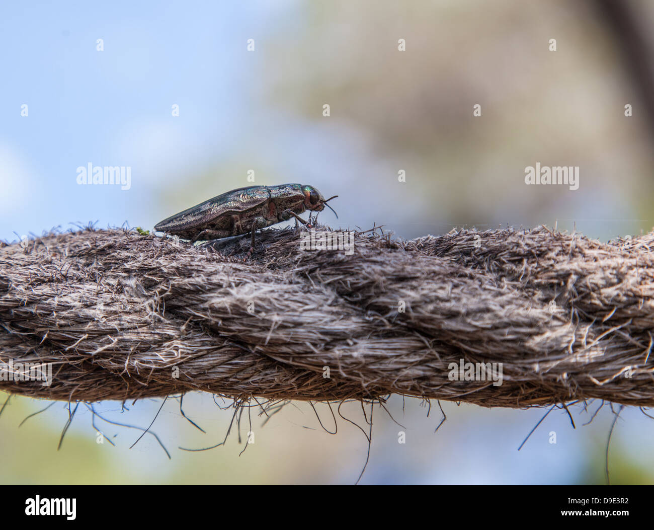 Walking in majorca hi-res stock photography and images - Alamy