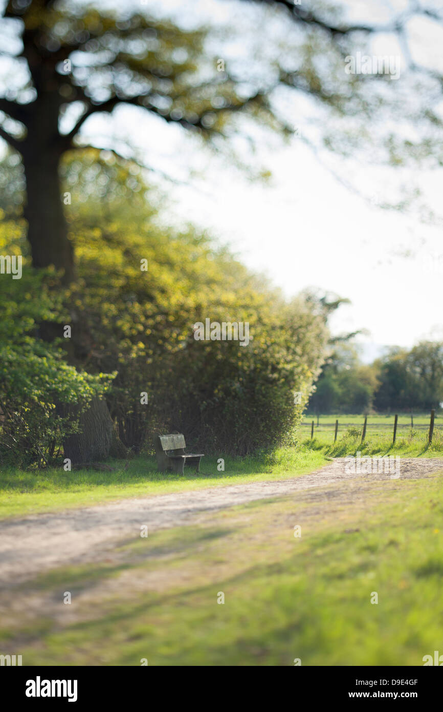 A bench in the shade along a road Stock Photo - Alamy