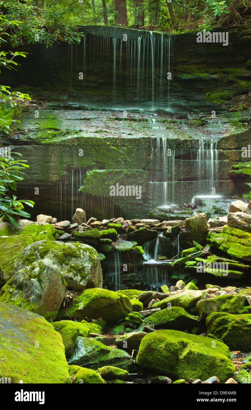 ROUND ISLAND RUN WATERFALL CLINTON COUNTY PENNSYLVANIA USA Stock Photo ...
