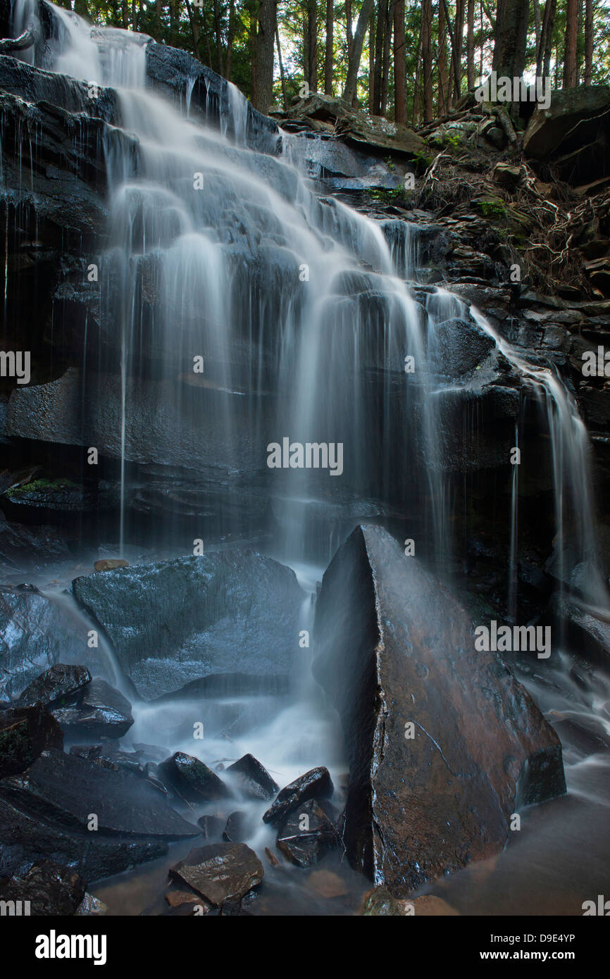 DUTCHMAN FALLS LOYALSOCK CREEK LOYALSOCK STATE FOREST SULLIVAN COUNTY ...