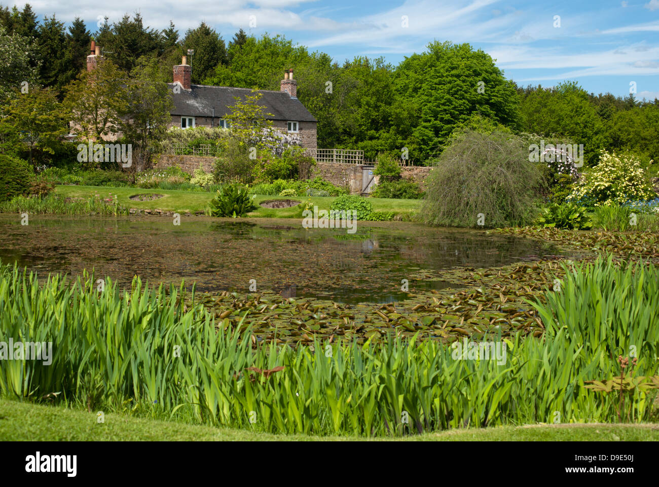 Traditional rural stone cottage Stock Photo - Alamy