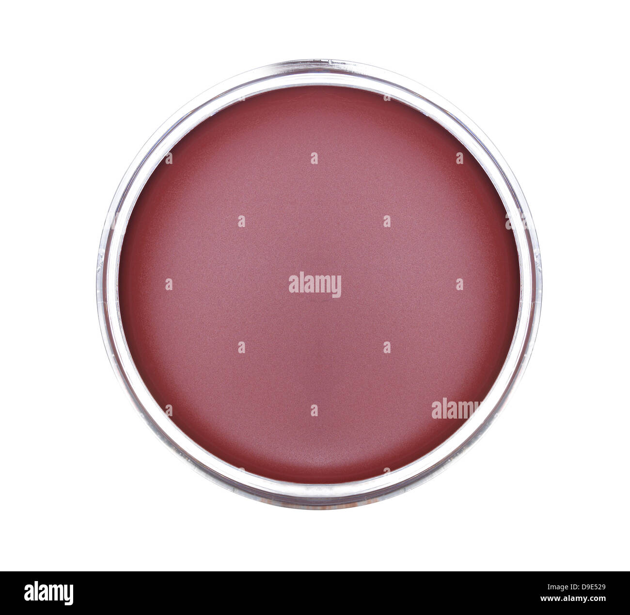 Women editorial photoshoot Cut Out Stock Images & Pictures - Alamy