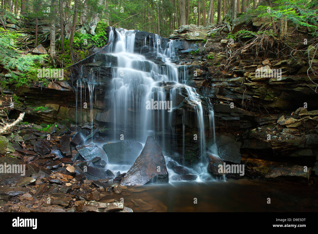 DUTCHMAN FALLS LOYALSOCK CREEK LOYALSOCK STATE FOREST SULLIVAN COUNTY ...