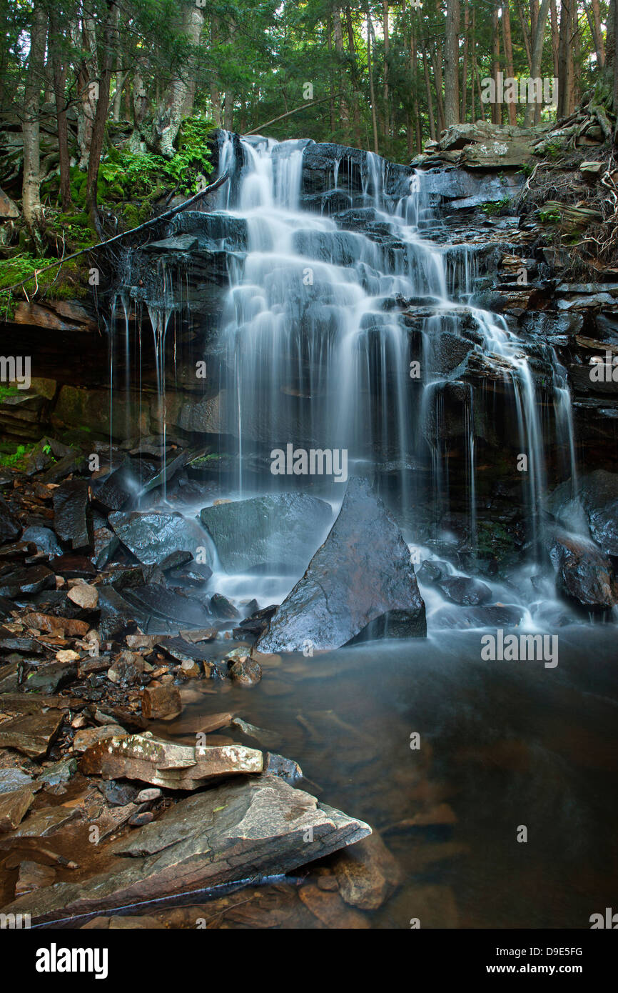 DUTCHMAN FALLS LOYALSOCK CREEK LOYALSOCK STATE FOREST SULLIVAN COUNTY ...