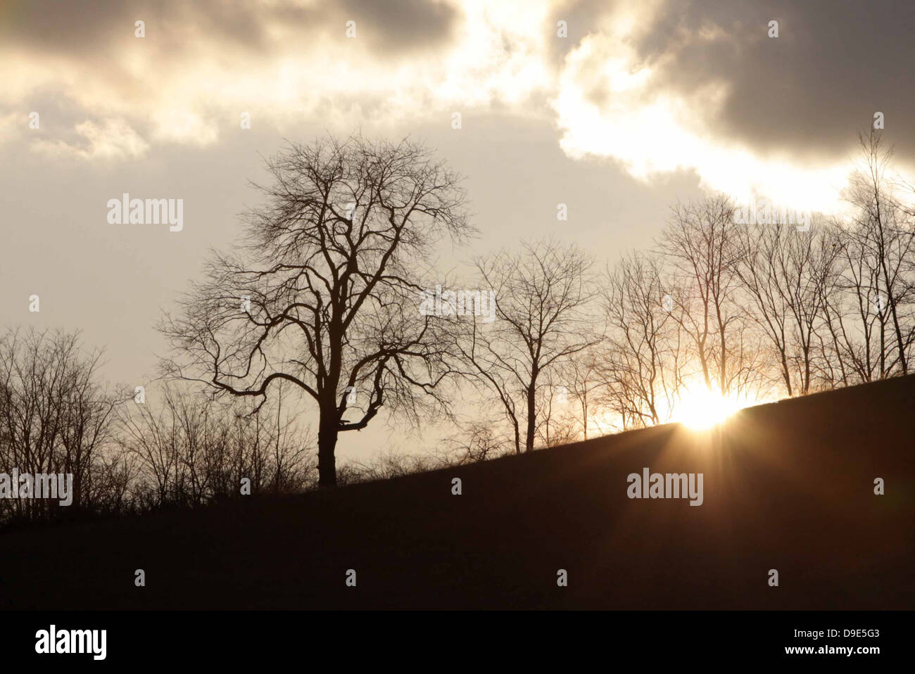 TREES HILL SUNSET SKY CLOUDS Stock Photo - Alamy