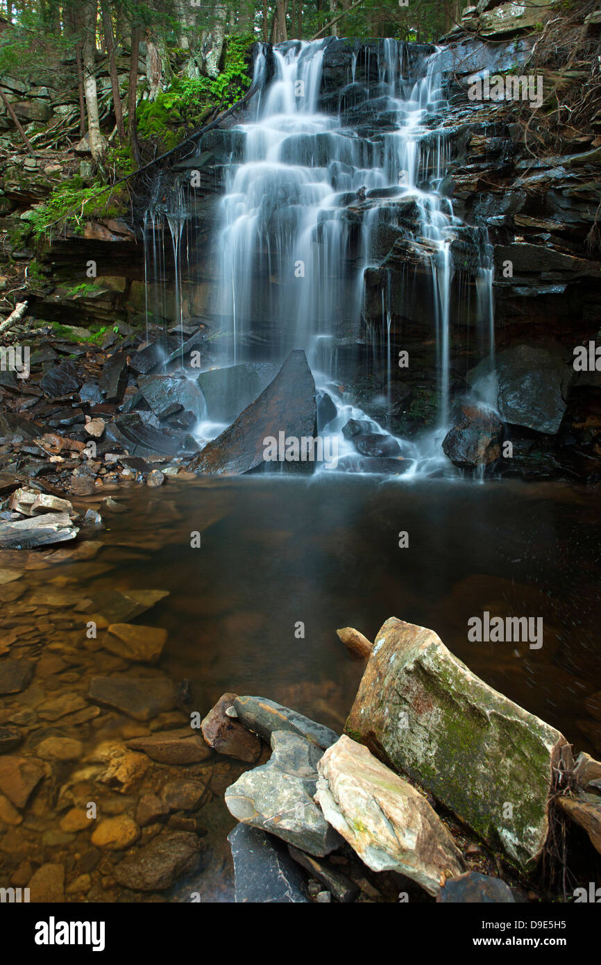 DUTCHMAN FALLS LOYALSOCK CREEK LOYALSOCK STATE FOREST SULLIVAN COUNTY ...