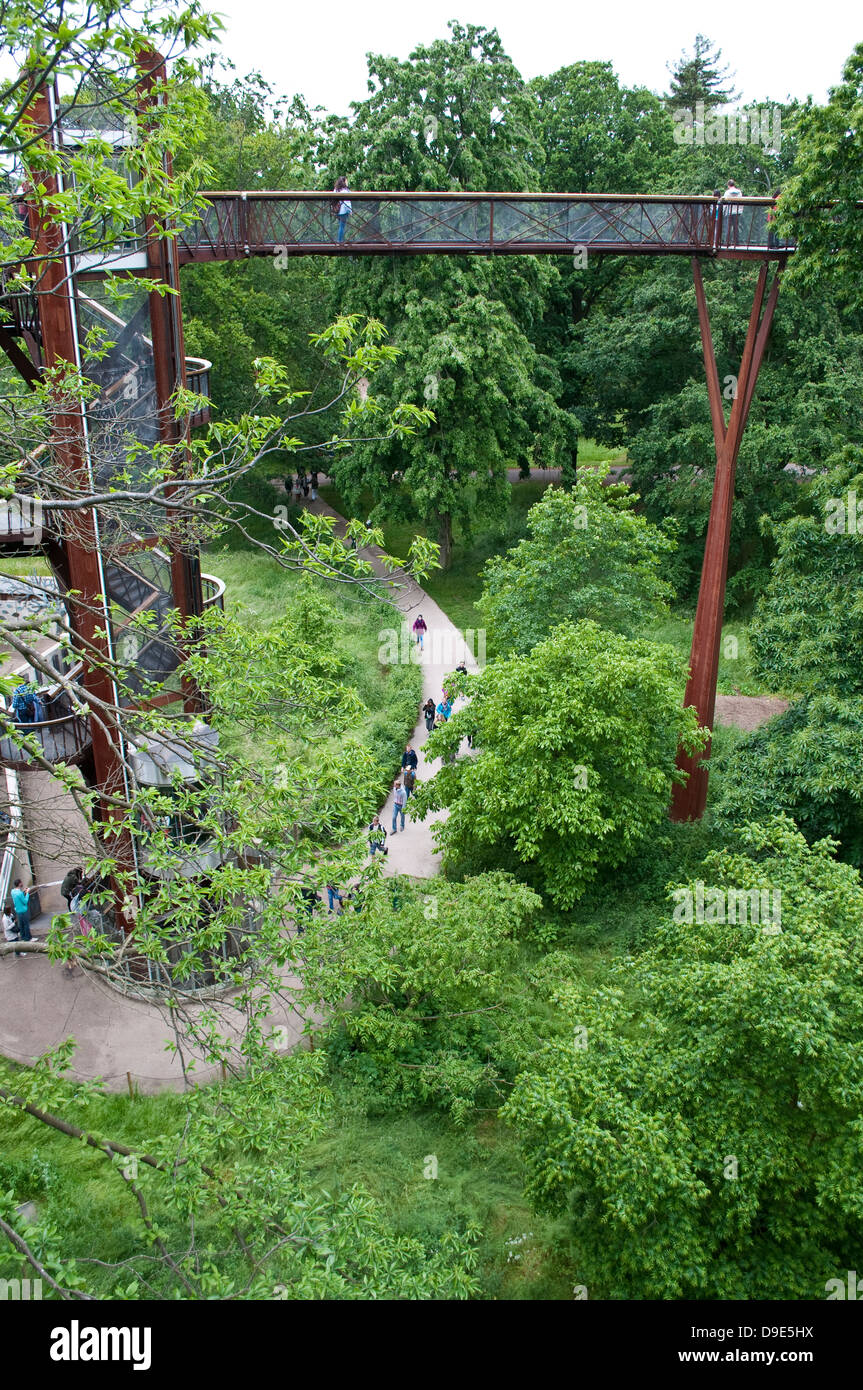 Xstrata treetop walkway kew royal hi-res stock photography and images ...