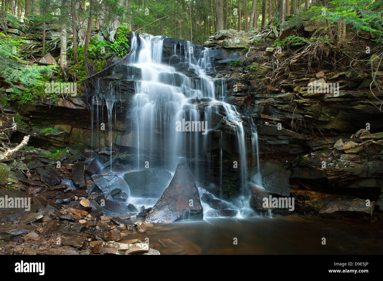 DUTCHMAN FALLS LOYALSOCK CREEK LOYALSOCK STATE FOREST SULLIVAN COUNTY ...