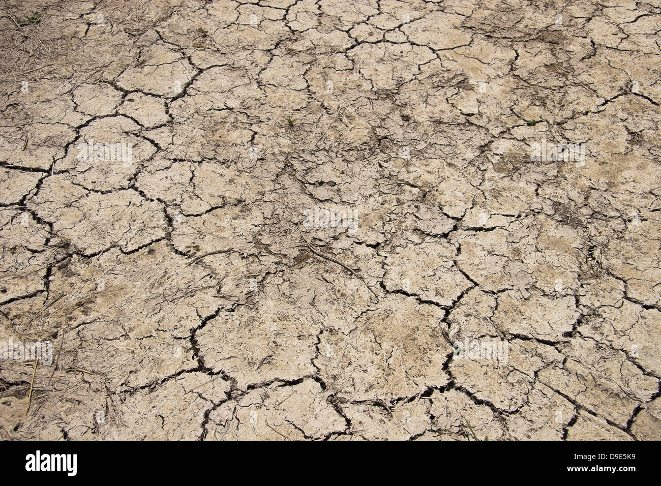 Dry cracked earth texture Stock Photo - Alamy