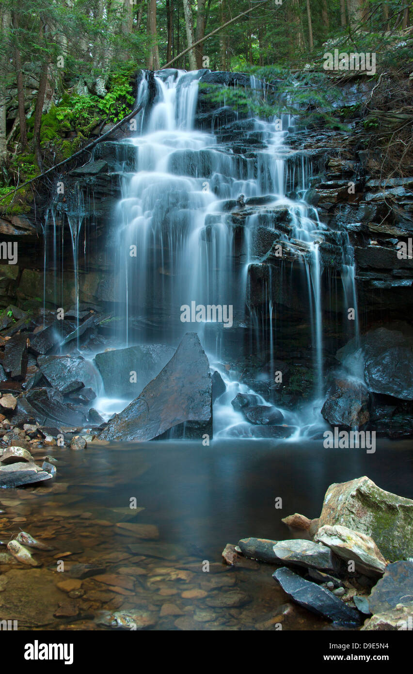 DUTCHMAN FALLS LOYALSOCK CREEK LOYALSOCK STATE FOREST SULLIVAN COUNTY ...