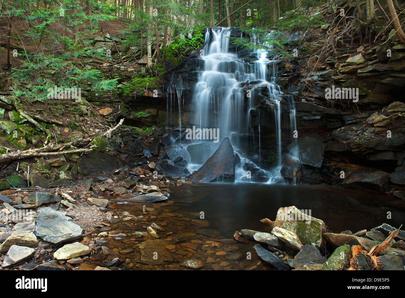 DUTCHMAN FALLS LOYALSOCK CREEK LOYALSOCK STATE FOREST SULLIVAN COUNTY ...