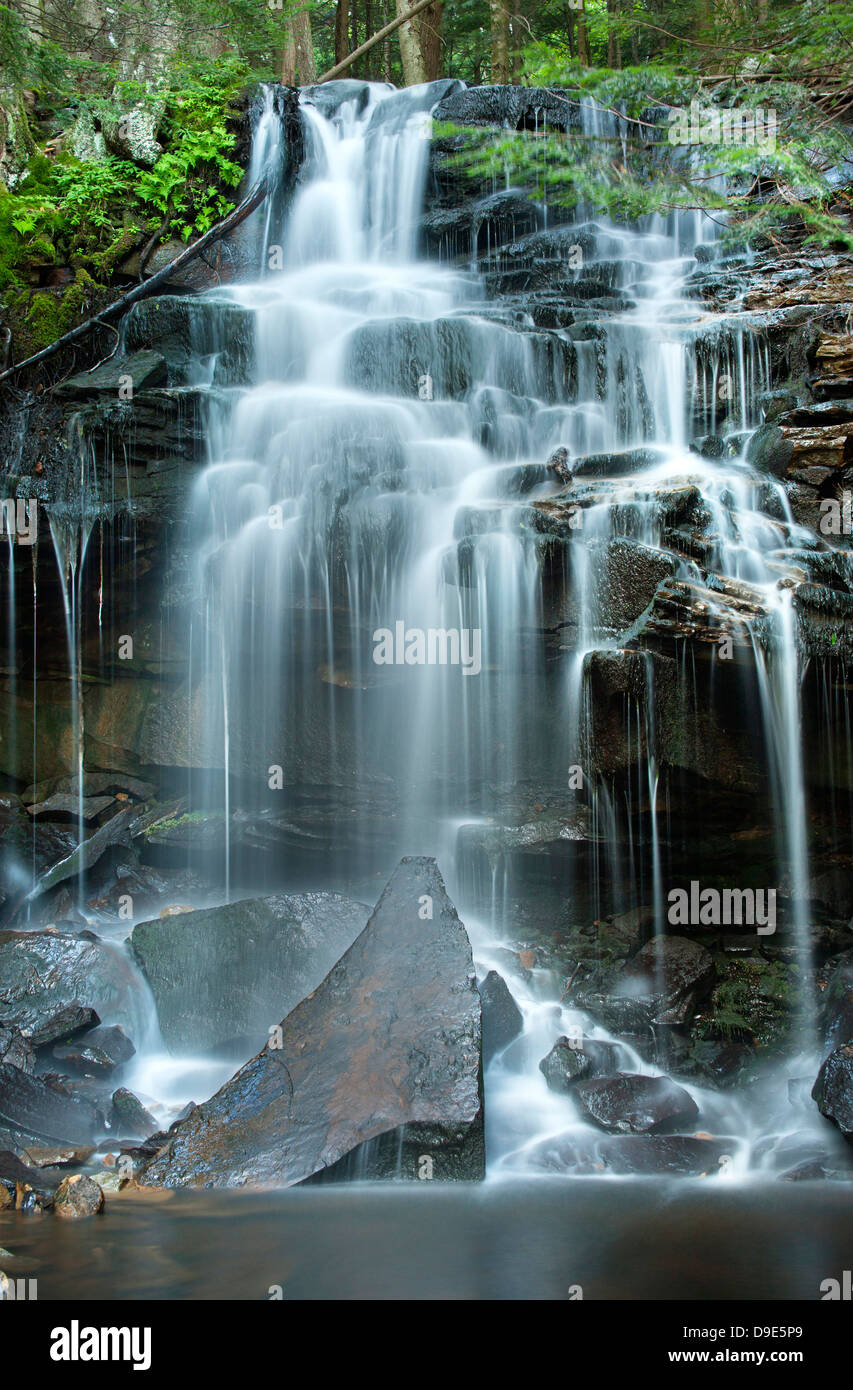 DUTCHMAN FALLS LOYALSOCK CREEK LOYALSOCK STATE FOREST SULLIVAN COUNTY ...