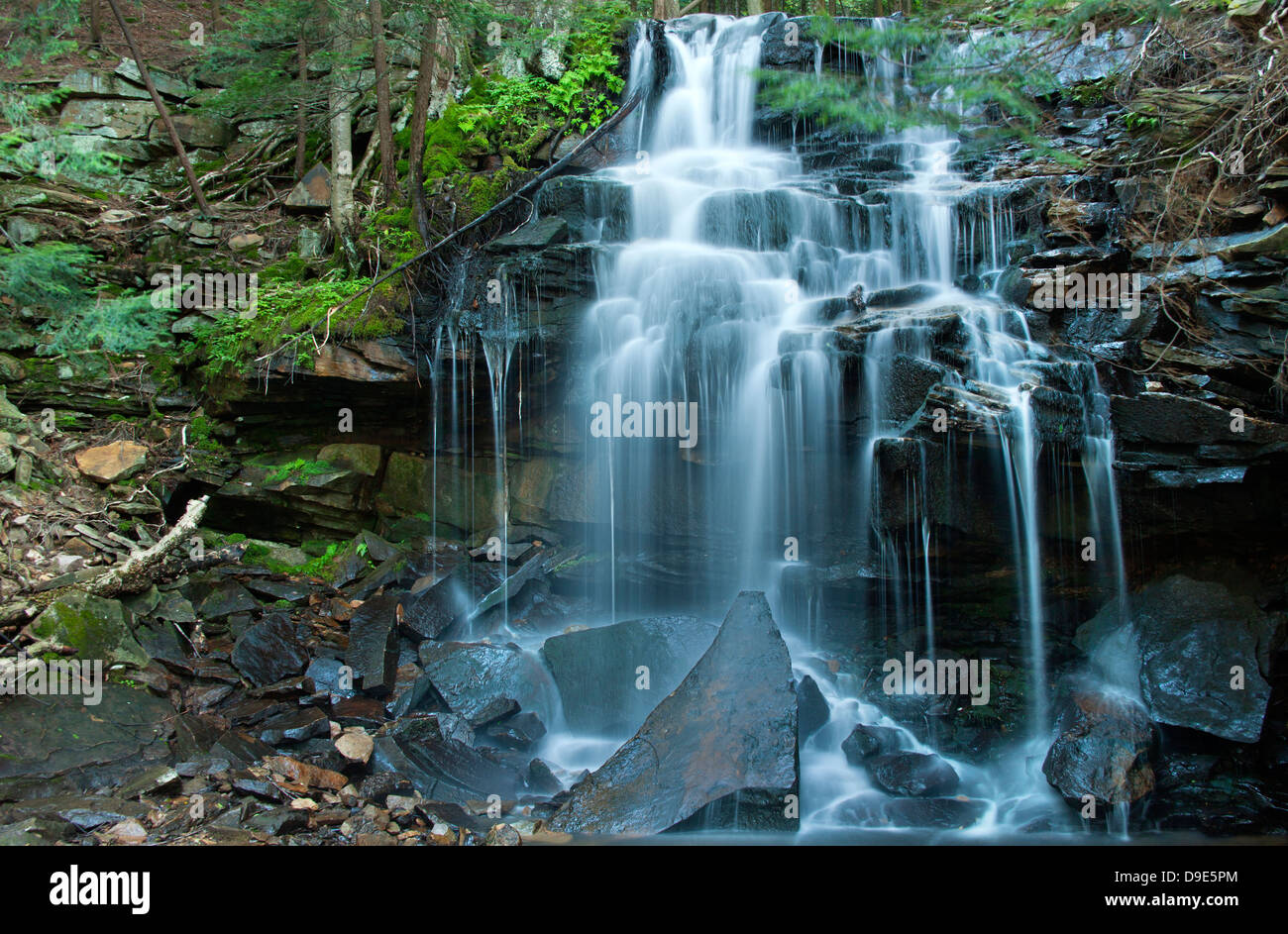 DUTCHMAN FALLS LOYALSOCK CREEK LOYALSOCK STATE FOREST SULLIVAN COUNTY ...