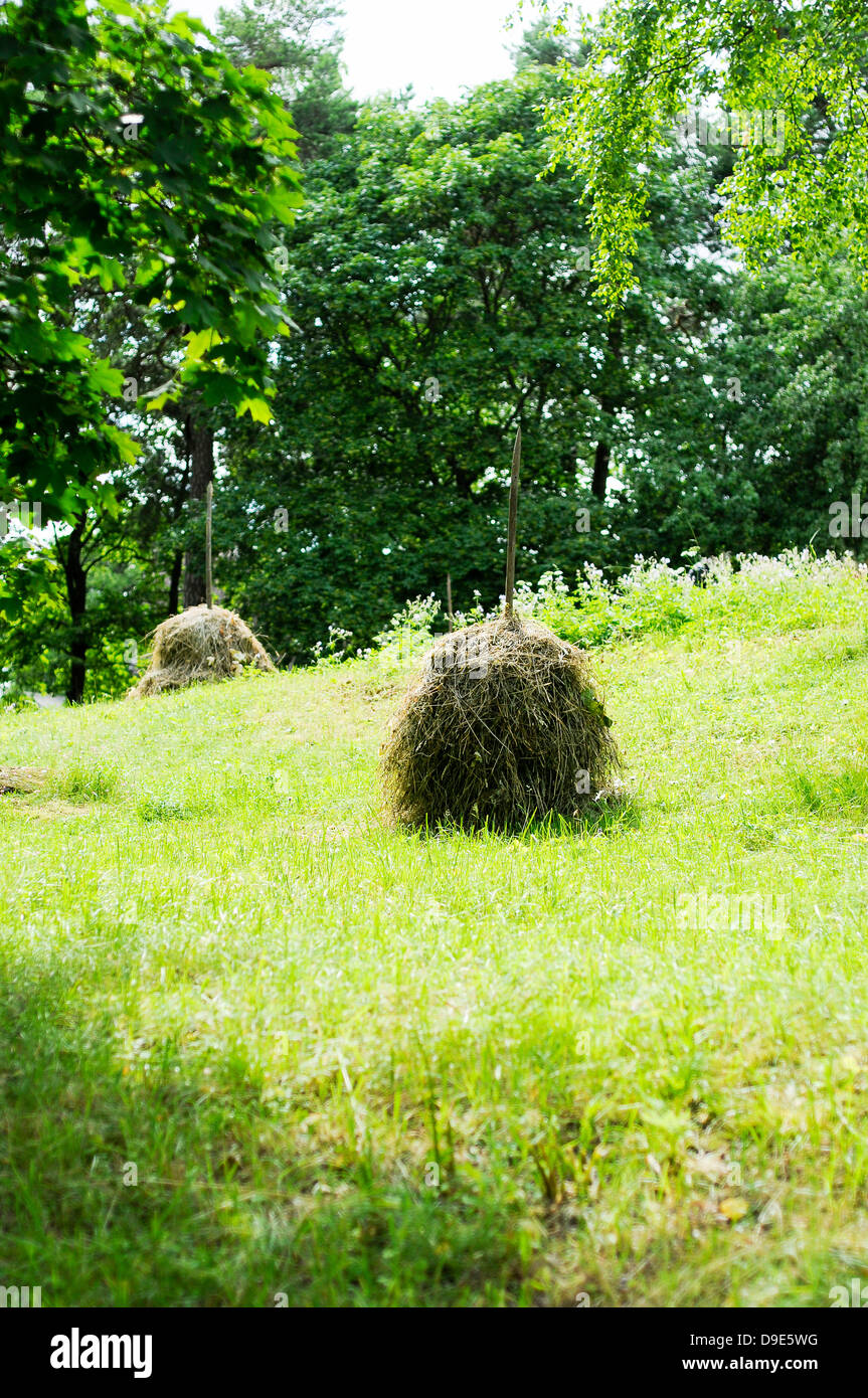 Haystacks in a field Stock Photo - Alamy