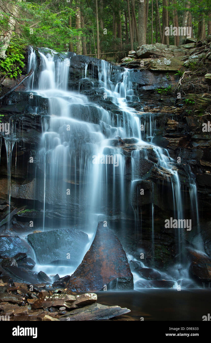 DUTCHMAN FALLS LOYALSOCK CREEK LOYALSOCK STATE FOREST SULLIVAN COUNTY ...