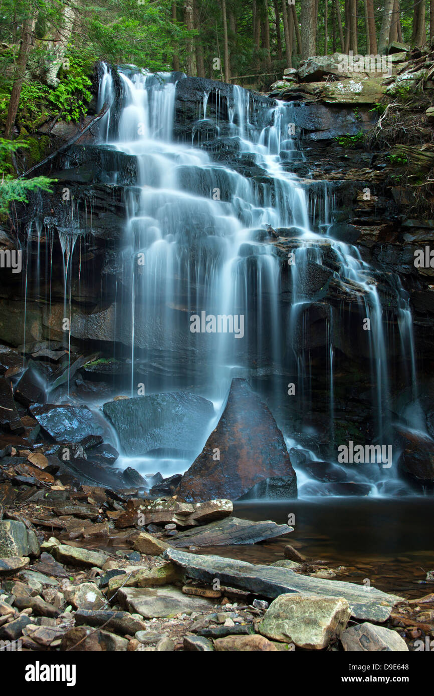 DUTCHMAN FALLS LOYALSOCK CREEK LOYALSOCK STATE FOREST SULLIVAN COUNTY ...
