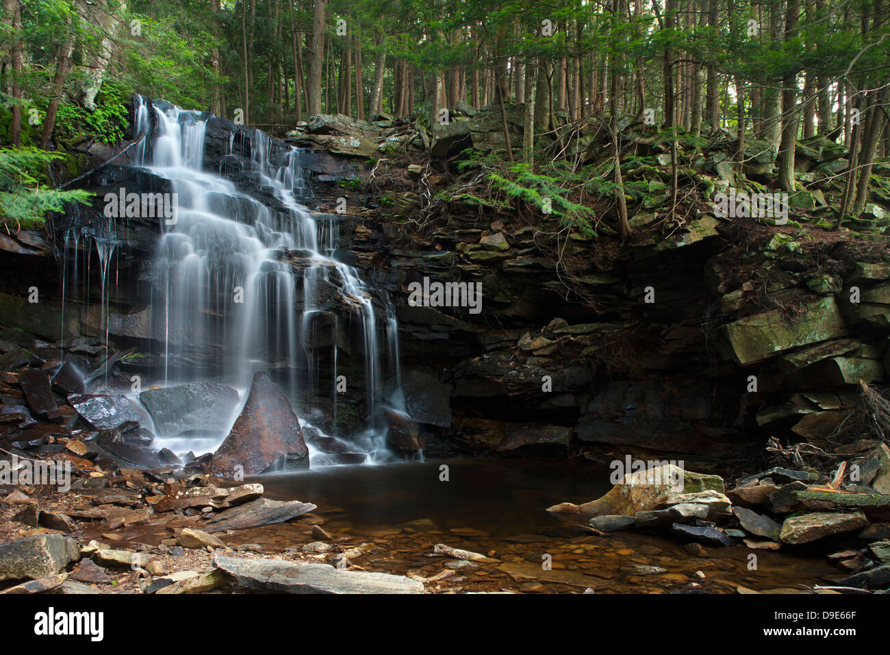 DUTCHMAN FALLS LOYALSOCK CREEK LOYALSOCK STATE FOREST SULLIVAN COUNTY ...