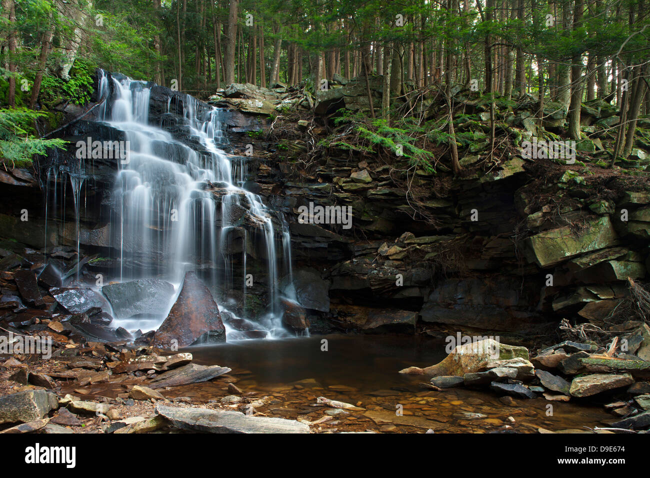 DUTCHMAN FALLS LOYALSOCK CREEK LOYALSOCK STATE FOREST SULLIVAN COUNTY ...