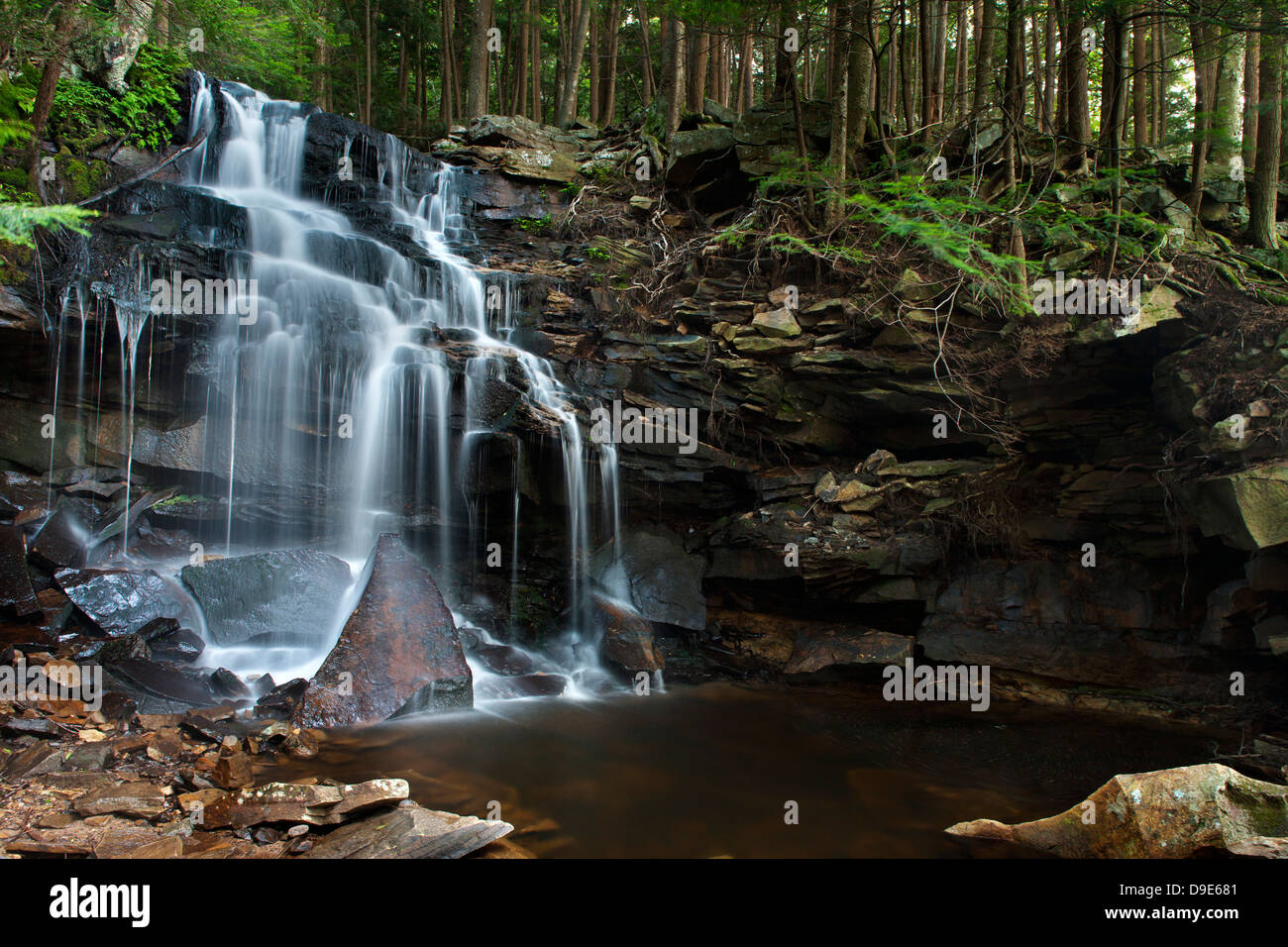 DUTCHMAN FALLS LOYALSOCK CREEK LOYALSOCK STATE FOREST SULLIVAN COUNTY ...