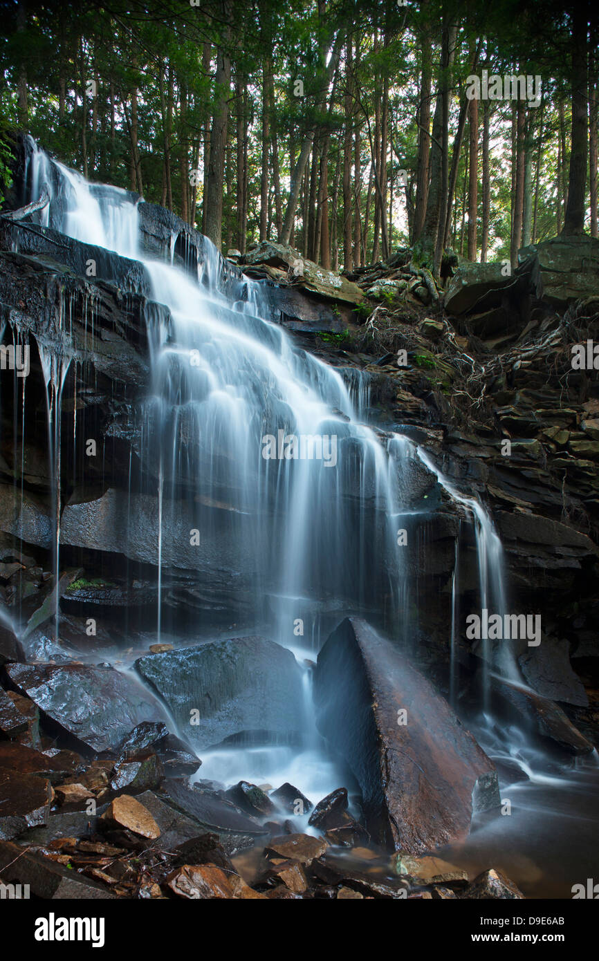 DUTCHMAN FALLS LOYALSOCK CREEK LOYALSOCK STATE FOREST SULLIVAN COUNTY ...