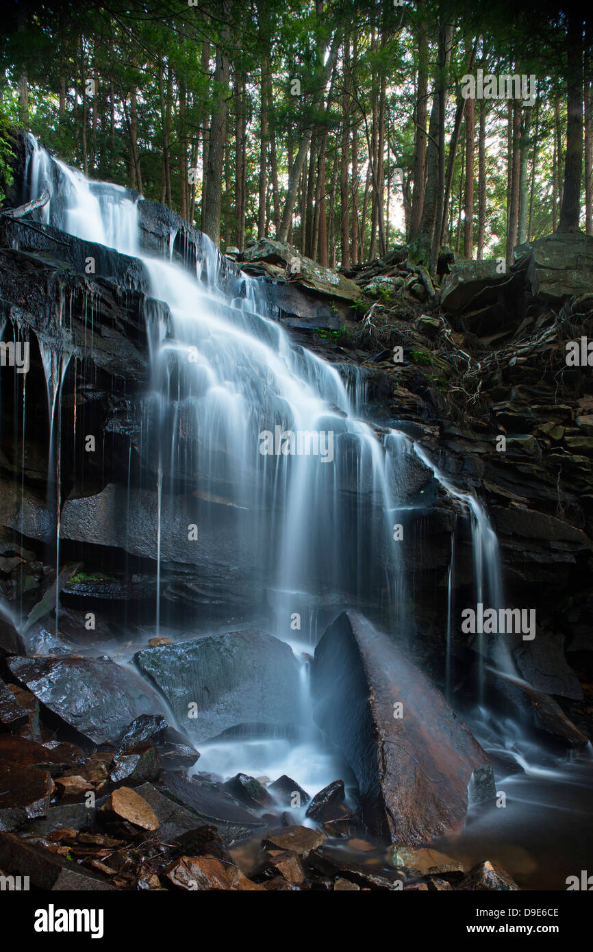 DUTCHMAN FALLS LOYALSOCK CREEK LOYALSOCK STATE FOREST SULLIVAN COUNTY ...
