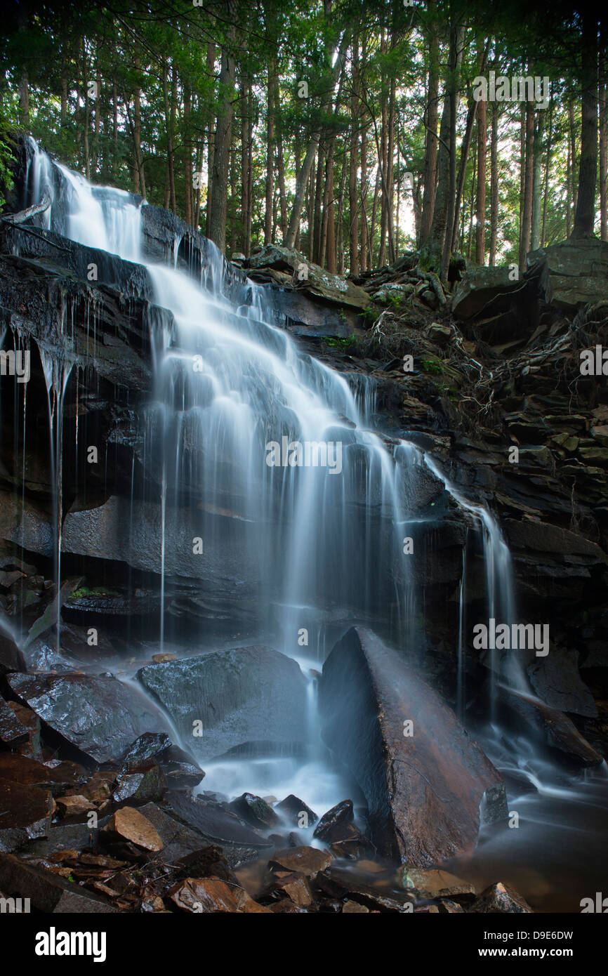 DUTCHMAN FALLS LOYALSOCK CREEK LOYALSOCK STATE FOREST SULLIVAN COUNTY ...