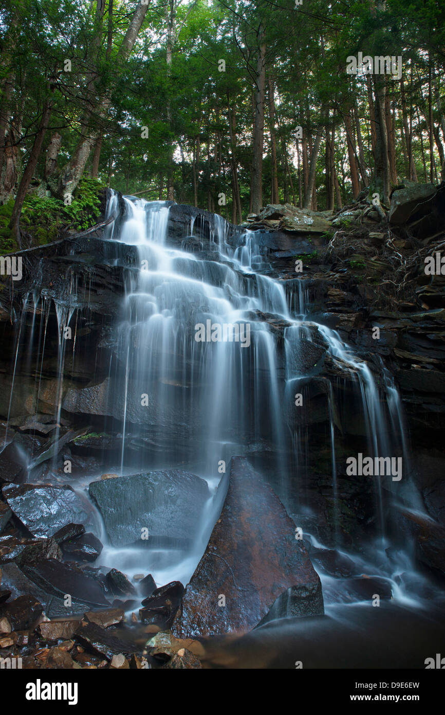 DUTCHMAN FALLS LOYALSOCK CREEK LOYALSOCK STATE FOREST SULLIVAN COUNTY ...