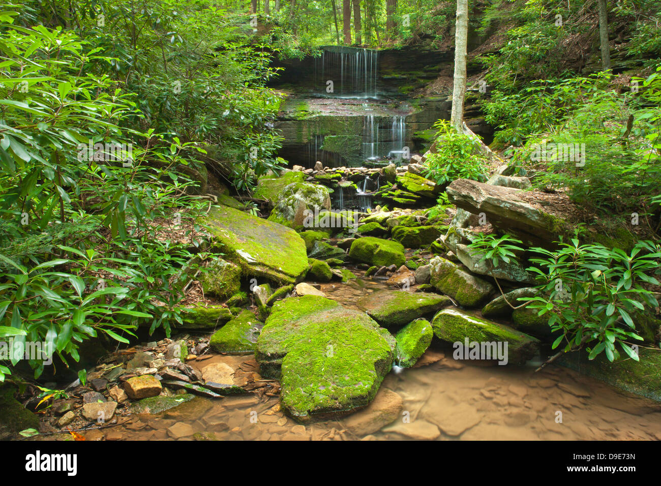 ROUND ISLAND RUN WATERFALL CLINTON COUNTY PENNSYLVANIA USA Stock Photo ...