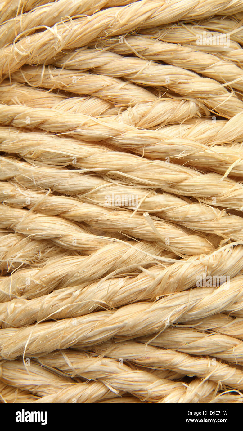 Backdropcloseup hi-res stock photography and images - Alamy