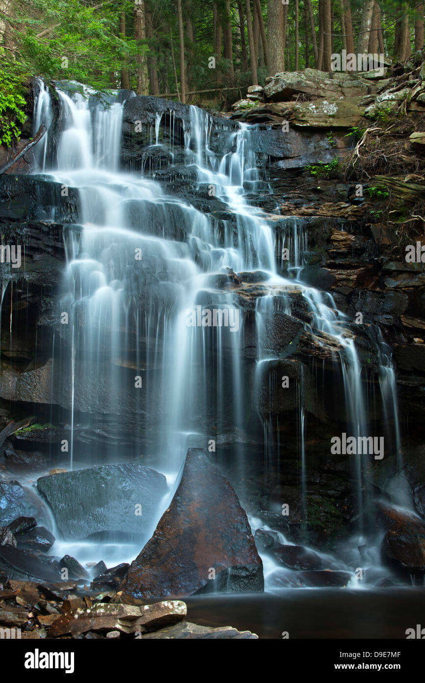 DUTCHMAN FALLS LOYALSOCK CREEK LOYALSOCK STATE FOREST SULLIVAN COUNTY ...