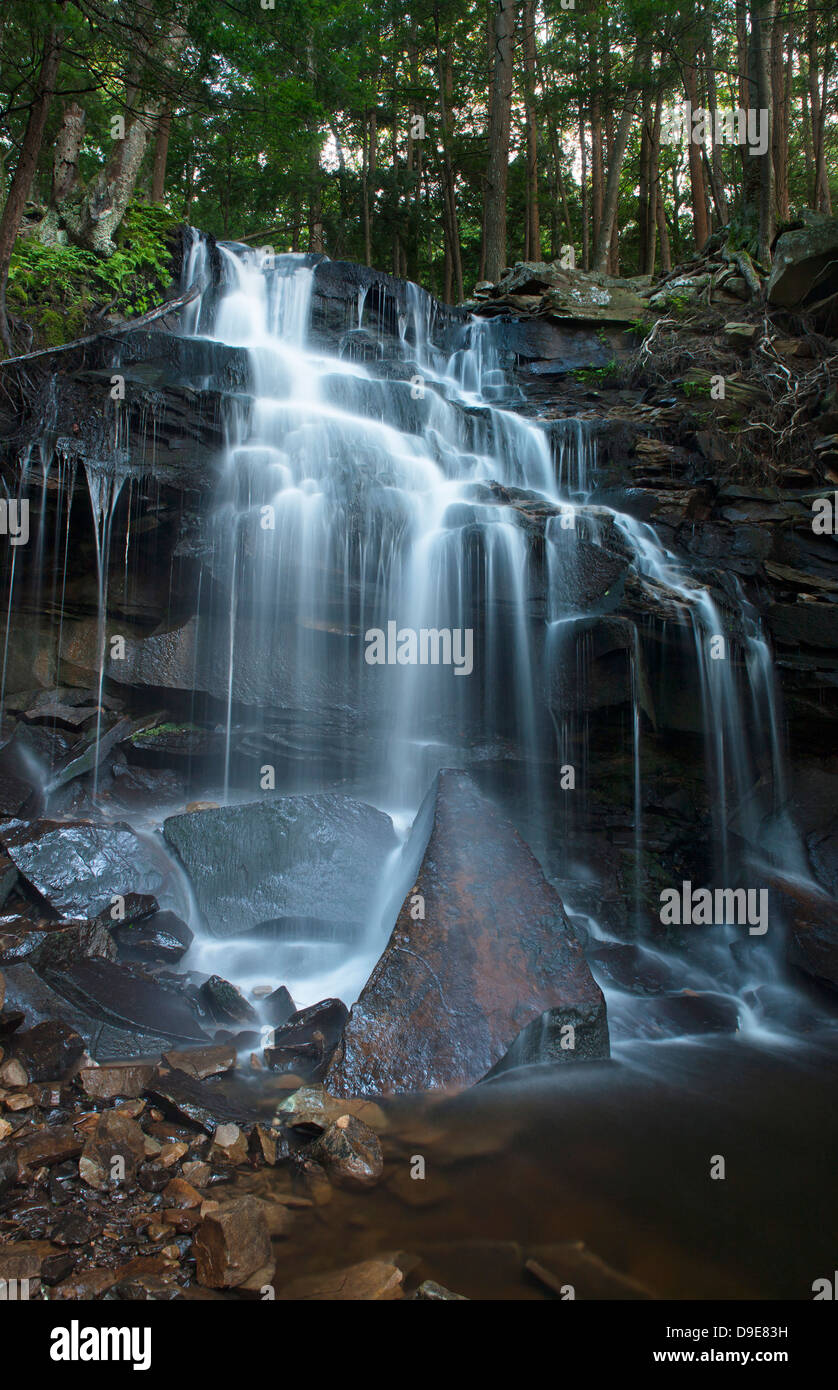 DUTCHMAN FALLS LOYALSOCK CREEK LOYALSOCK STATE FOREST SULLIVAN COUNTY ...