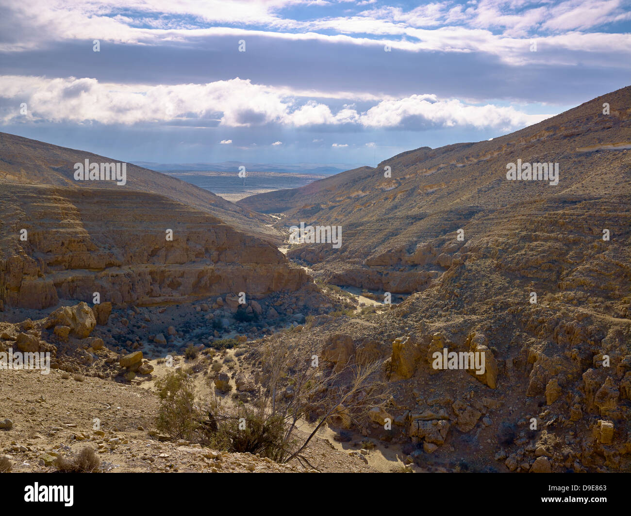 Wadi at mamshit at the incense road hi-res stock photography and images ...