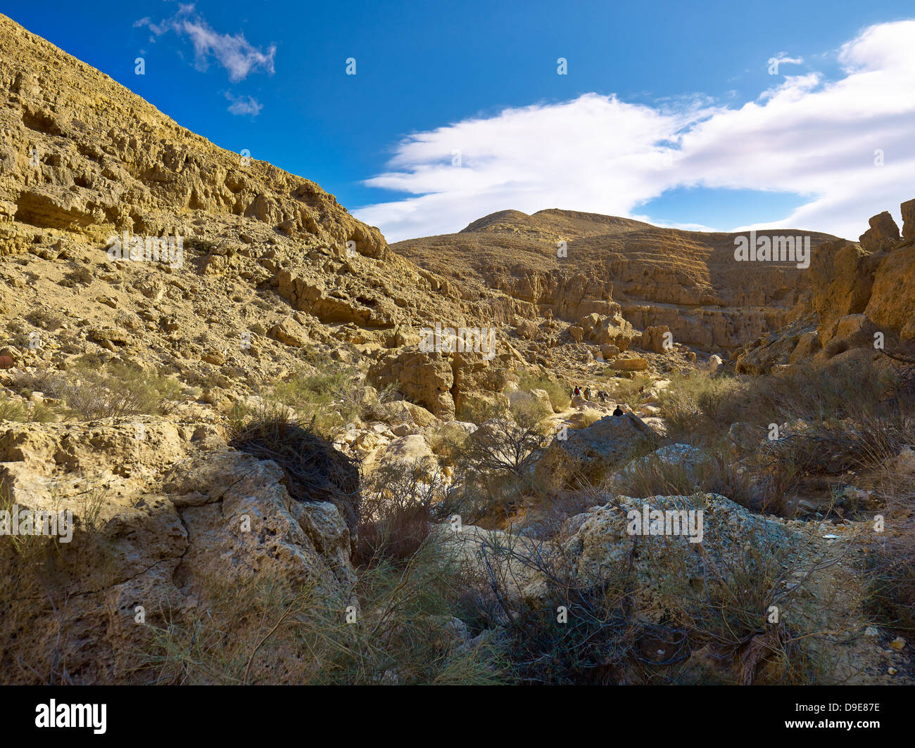 Wadi at Mamshit at the Incense Road, Negev, Israel Stock Photo - Alamy