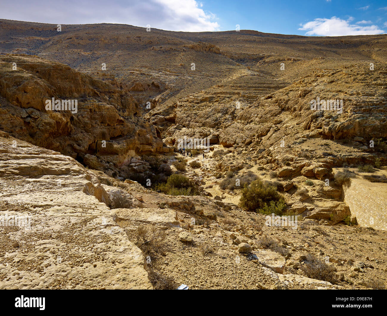 Wadi at Mamshit at the Incense Road, Negev, Israel Stock Photo - Alamy